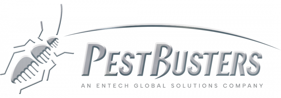 PestBusters Pte Ltd | Pest Control Singapore